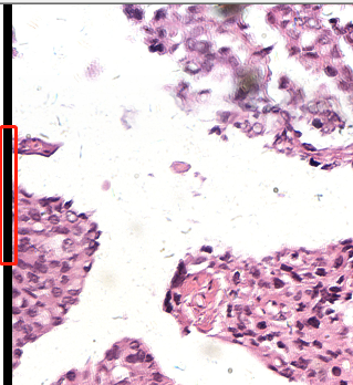 a few questions about optimizing tiffsave · libvips libvips · Discussion #3449 · GitHub