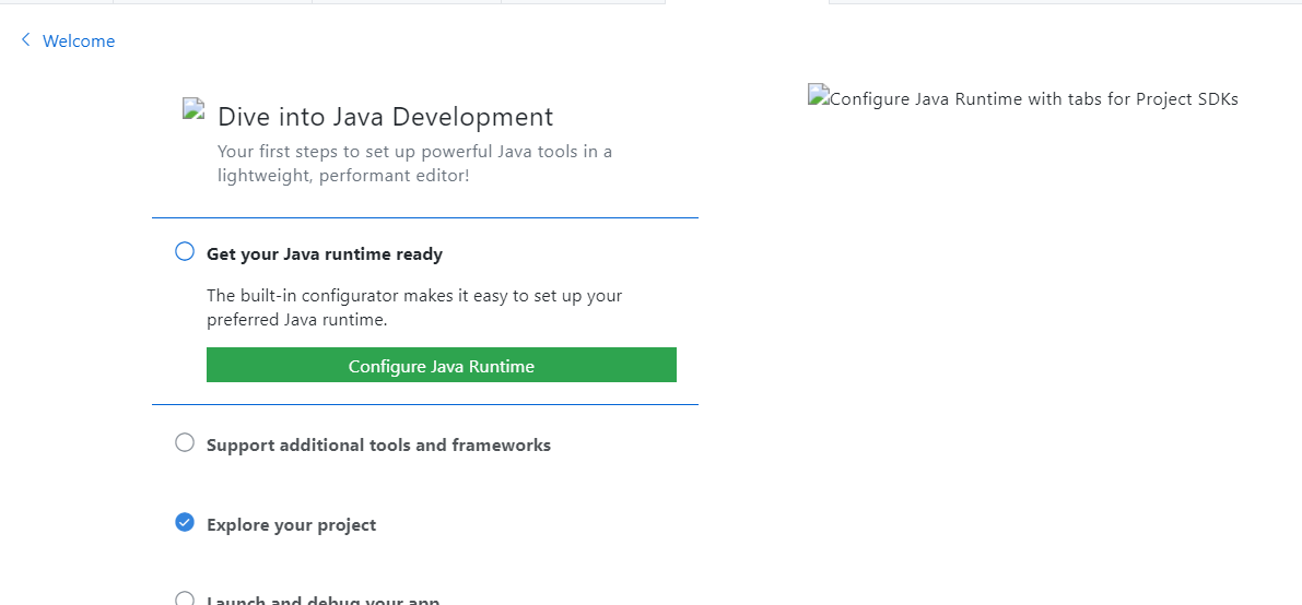 Images in walkthrough are broken on Codespaces · Issue #133309 · microsoft/vscode · GitHub