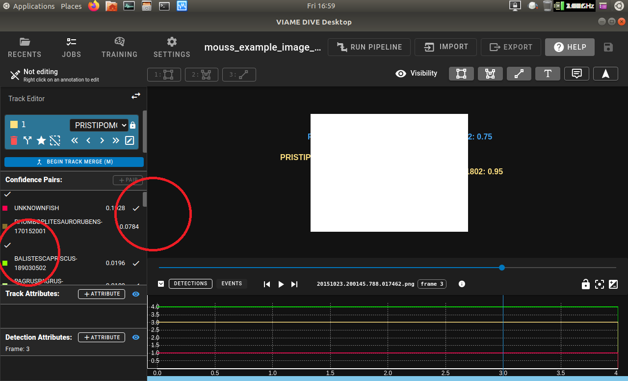 Align confirmation checkmarks in the same column for consistency · Issue #1221 · Kitware/dive ...