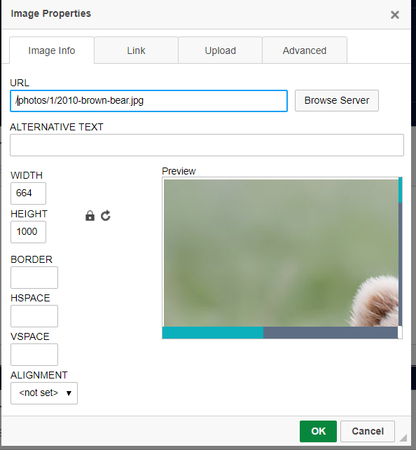 How to get the relative path for the uploaded image? · Issue #536 · UniSharp/laravel-filemanager ...