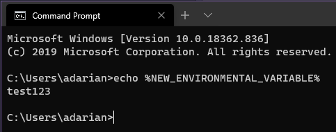 Terminal not displaying user environment variables correctly · Issue #98045 · microsoft/vscode ...