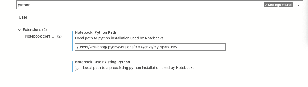 Support Virtualenv Python Paths For Python Notebooks · Issue 13382