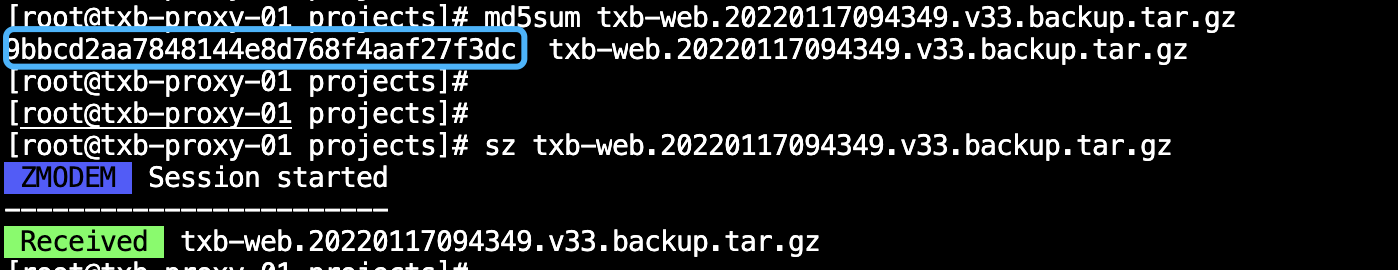 Incomplete file transfer · Issue #5505 · Eugeny/tabby · GitHub
