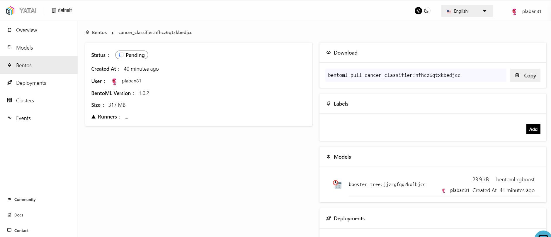 Error in Pushing image to yatai · Issue #305 · bentoml/Yatai · GitHub