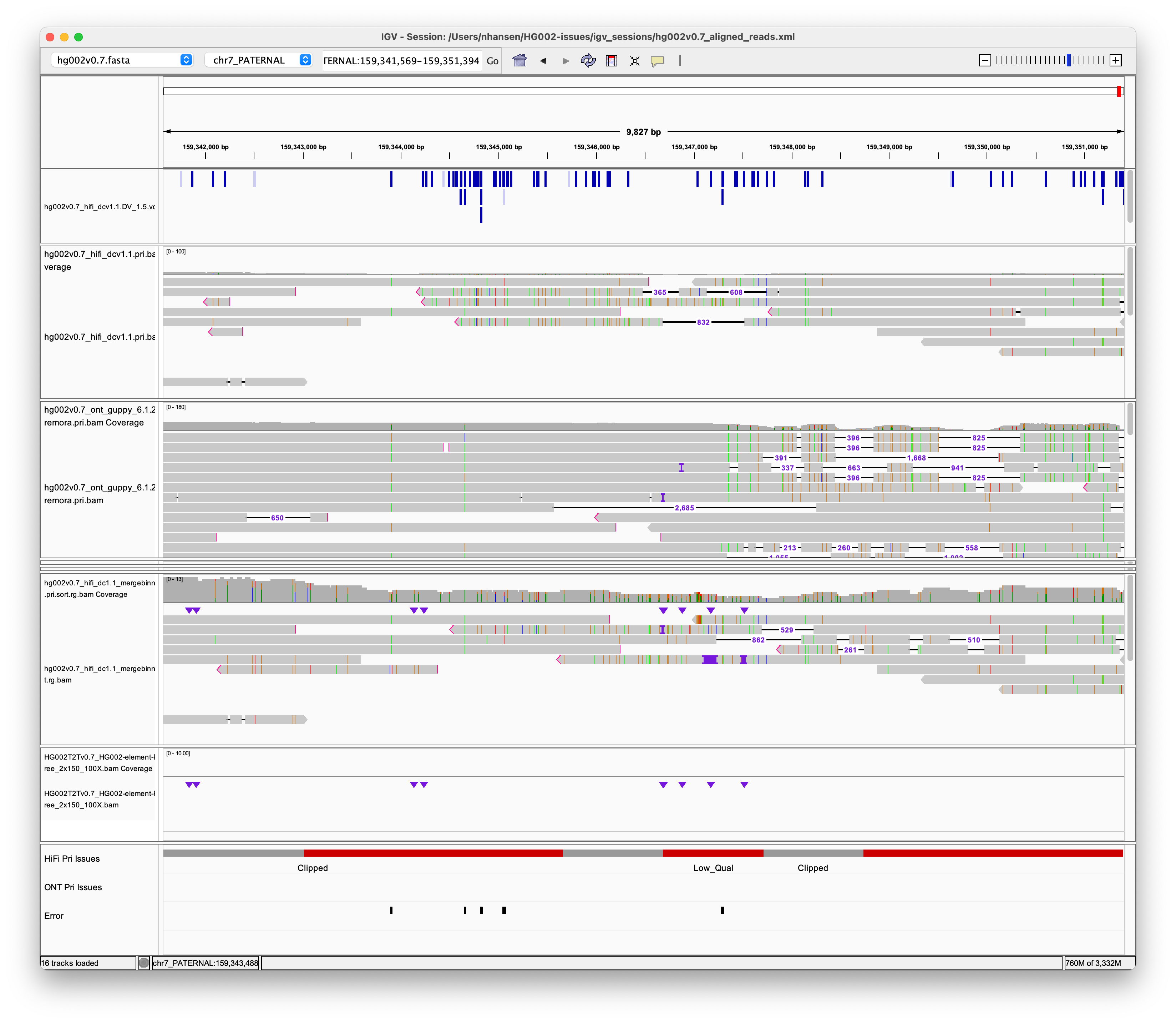 Issue: chr7_PATERNAL:159341569-159351394 · Issue #115 · marbl/HG002-issues · GitHub