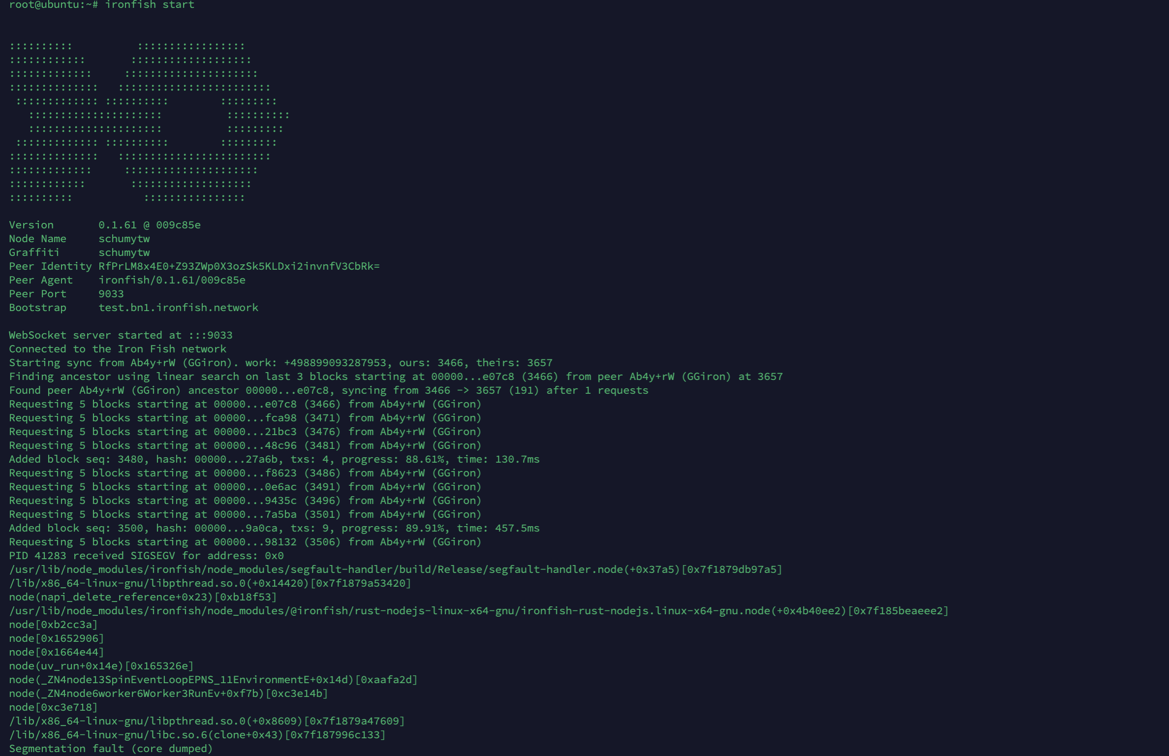 Segmentation fault (core dumped) · Issue #2985 · iron-fish/ironfish · GitHub