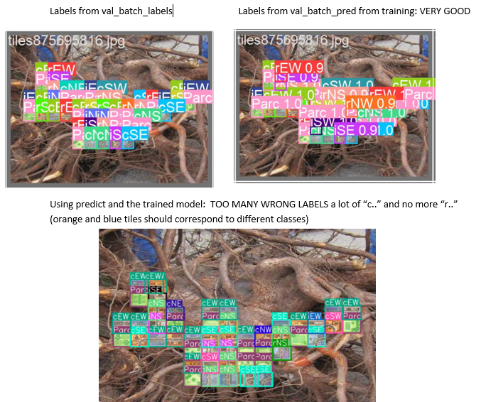Different class identification between val() and predict() · Issue #5962 · ultralytics ...