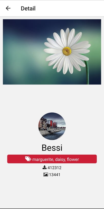 GitHub - jsumande/Pixabay: This repo is for pixabay image search exam ...