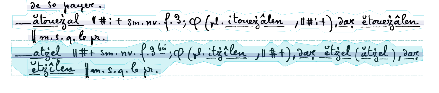 polygonization fails in a few cases · Issue #360 · mittagessen/kraken · GitHub
