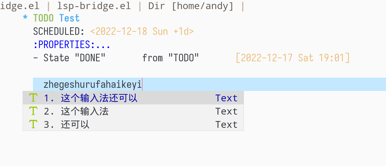 有没有大佬愿意帮忙添加 ds-pinyin 后端啊？感谢感谢 · Issue #496 · manateelazycat/lsp-bridge · GitHub