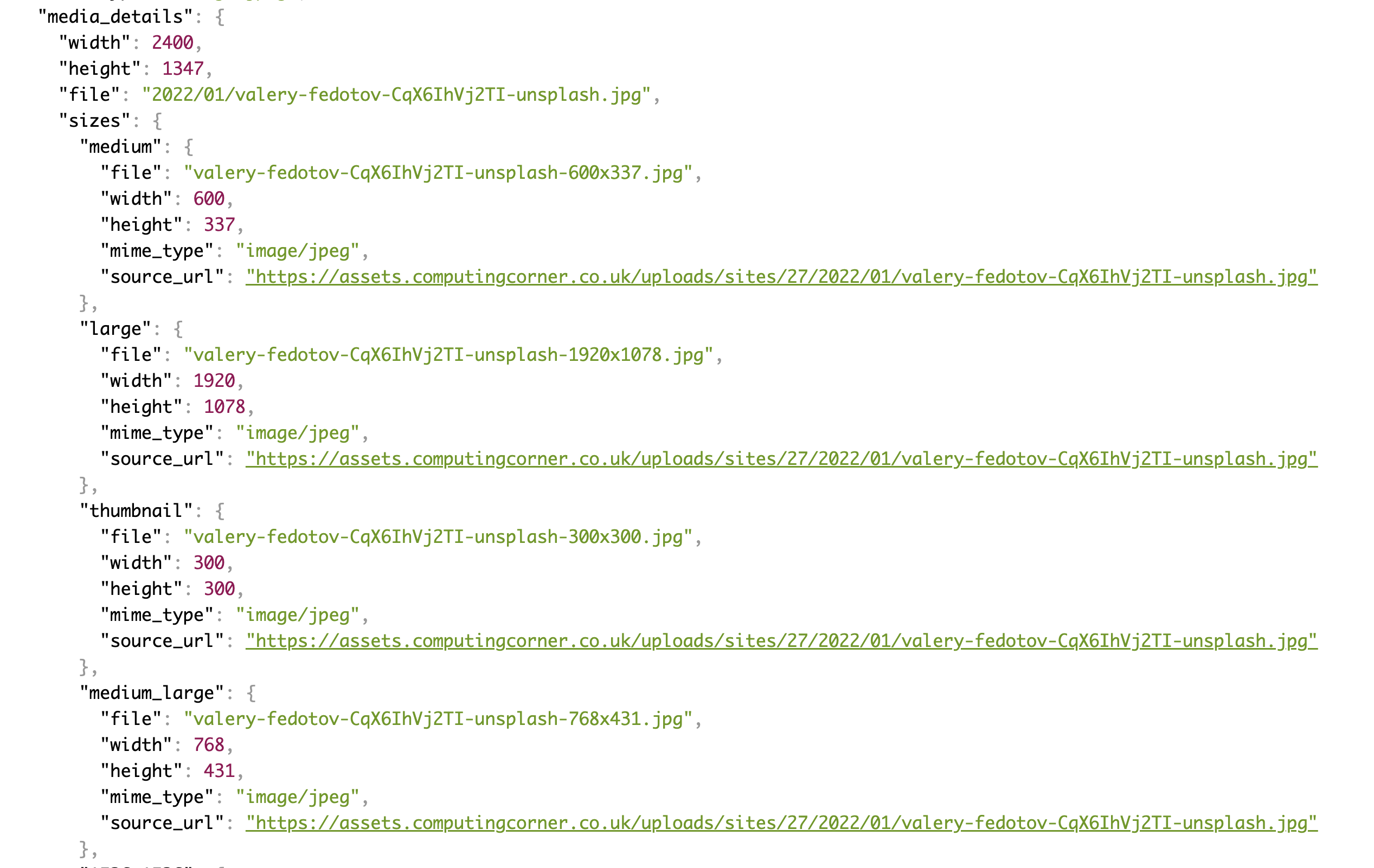 Expose `source_url` for all additional mime types via REST API · Issue ...