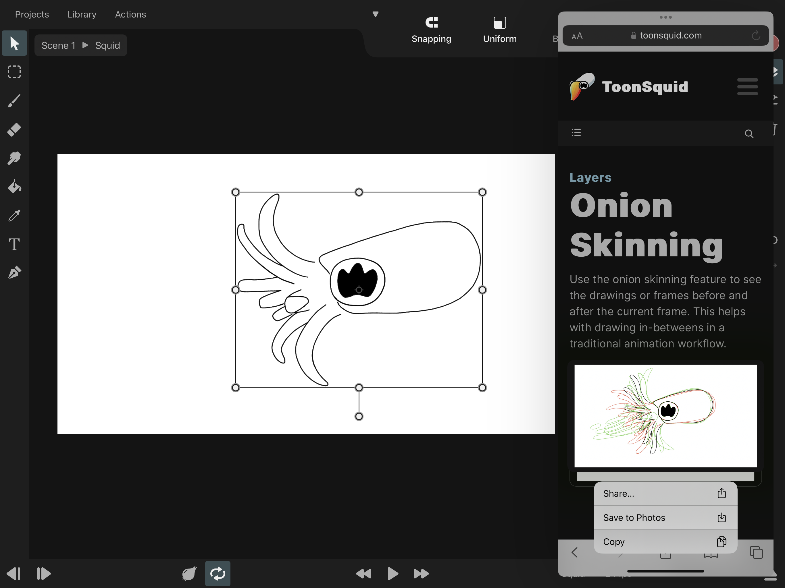 Paste image from clipboard · keiwando toonsquid · Discussion #206 · GitHub