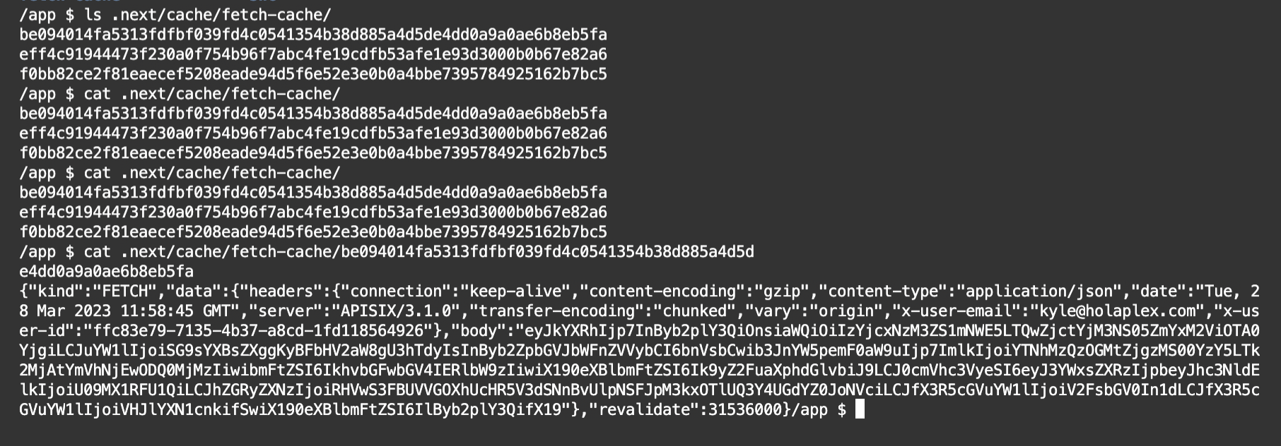 Fetch Cache Write Permissions · Issue #86 · holaplex/hub · GitHub