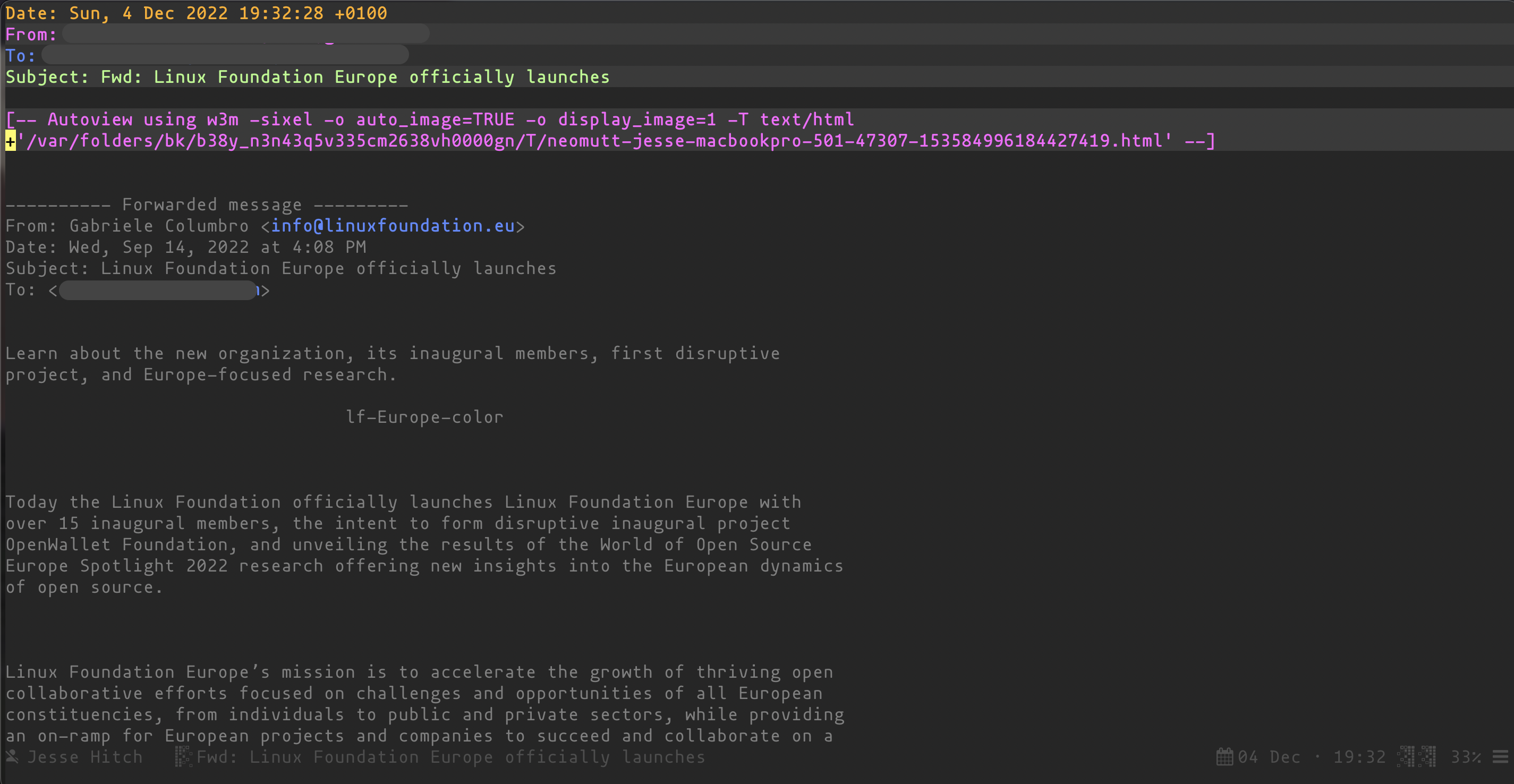 Image Display in Terminal · Issue #471 · neomutt/neomutt · GitHub