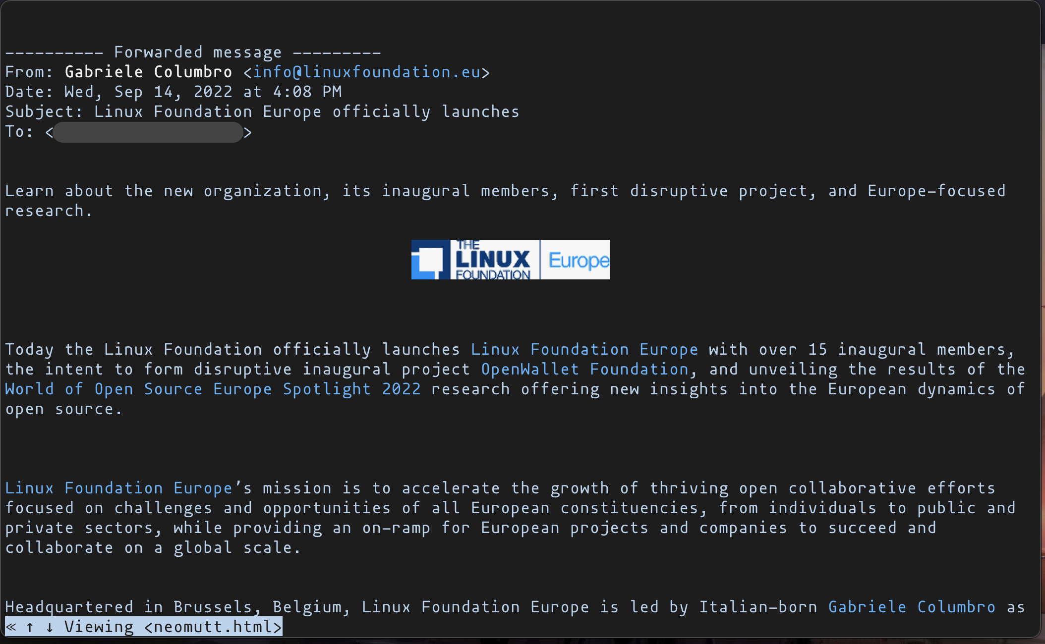 Image Display in Terminal · Issue #471 · neomutt/neomutt · GitHub
