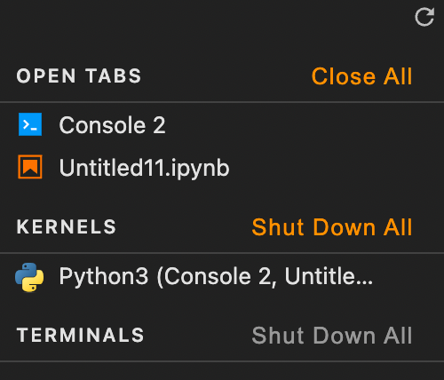 JupyterLab Running Panel: display kernels only once per instance - and show list of connected ...
