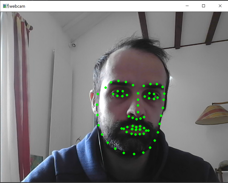GitHub - provostm/face-detection: View face landmarks on live video ...