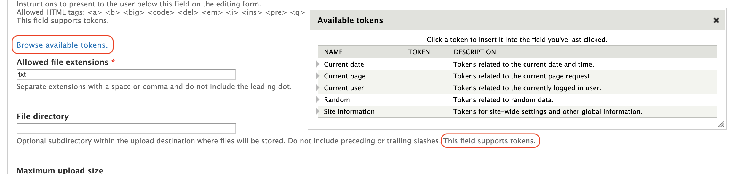 Add support for tokens in the file field names and paths (File Field Paths module in core ...