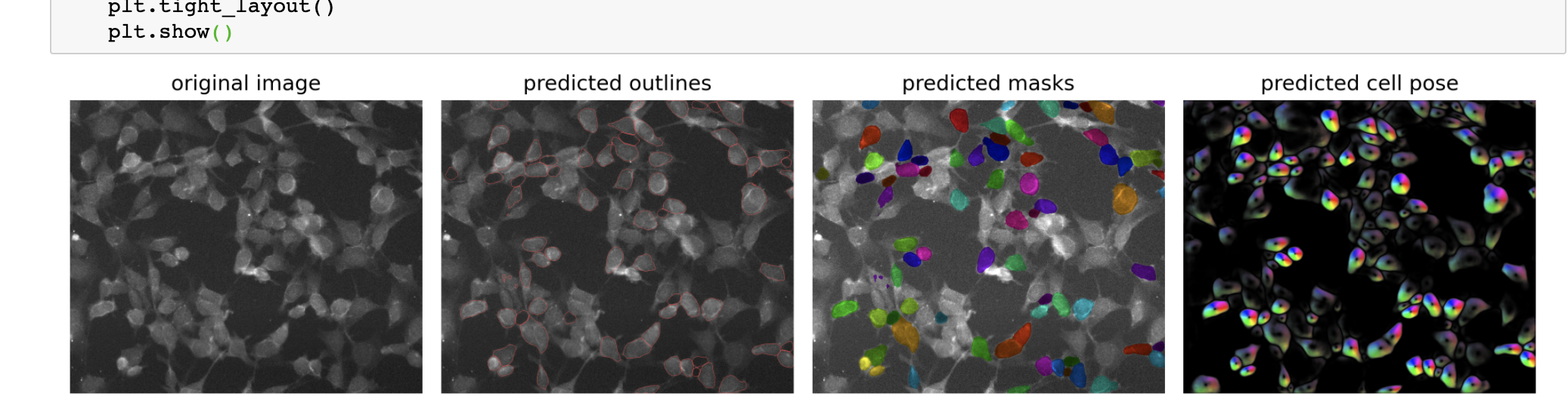 Cellpose results slightly different on my computer vs. website · Issue #80 · MouseLand/cellpose ...
