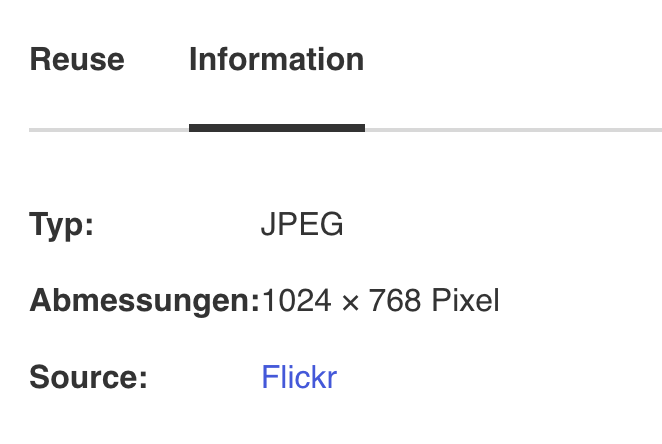 [Bug] Information list looks strange with long names (German) · Issue #248 · WordPress/openverse ...