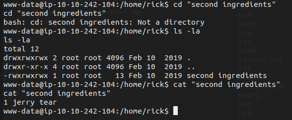 GitHub - sefamol/pickleRick