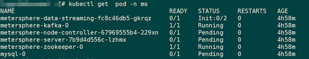 [BUG]helm install metersphere metersphere/metersphere 安装后pod 状态pending ...