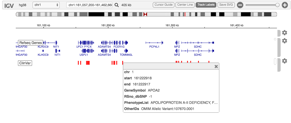 Customise bed pop-over window. · Issue #1135 · igvteam/igv.js · GitHub