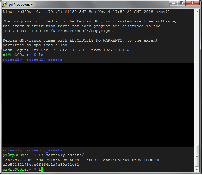 Doesnt load nearpod website? · Issue #979 · Screenly/Anthias · GitHub