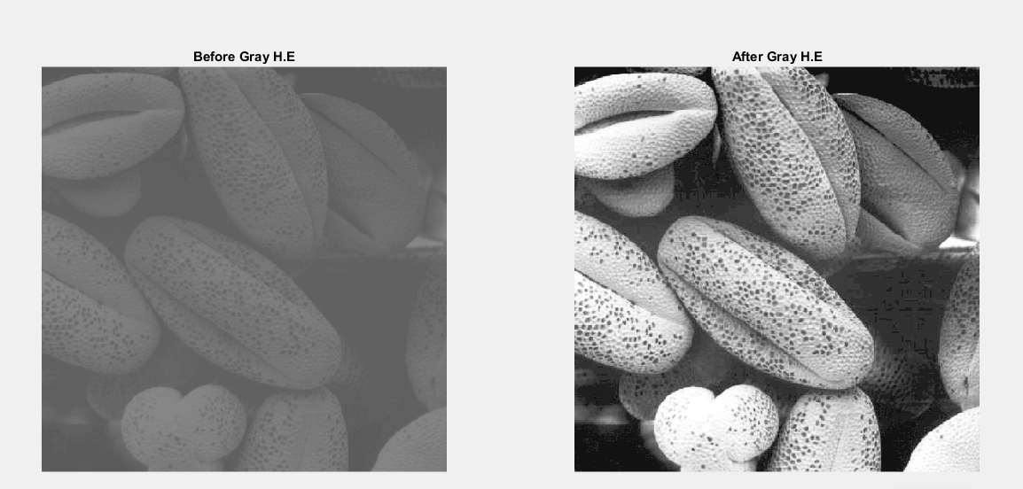 Histogram Equalization