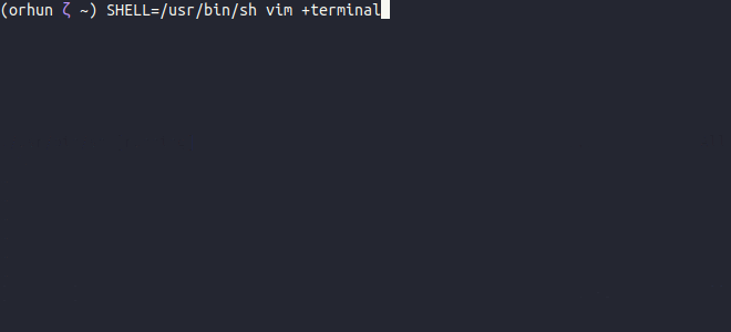 Cursor Is Not Visible In ` Terminal` · Issue 21074 · Neovim Neovim · Github
