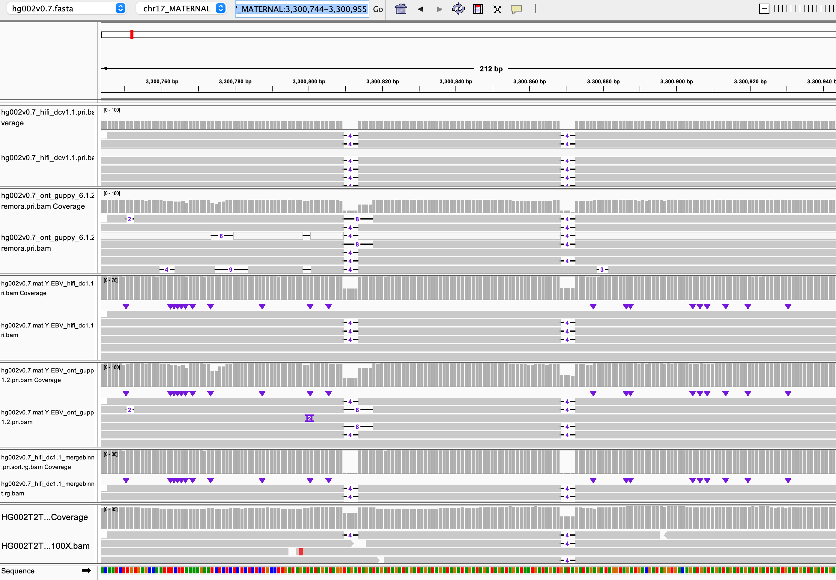 Issue: chr17_MATERNAL:3216489-3298611 · Issue #404 · marbl/HG002-issues · GitHub