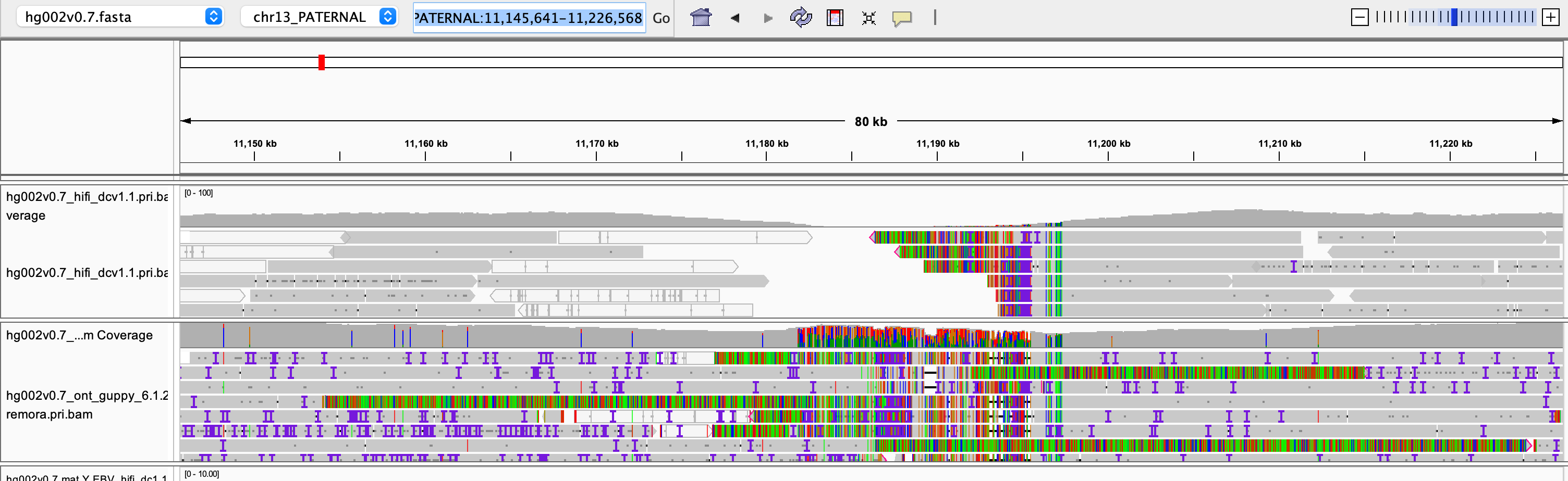 Issue: chr13_PATERNAL:11182275-11194954 · Issue #194 · marbl/HG002-issues · GitHub