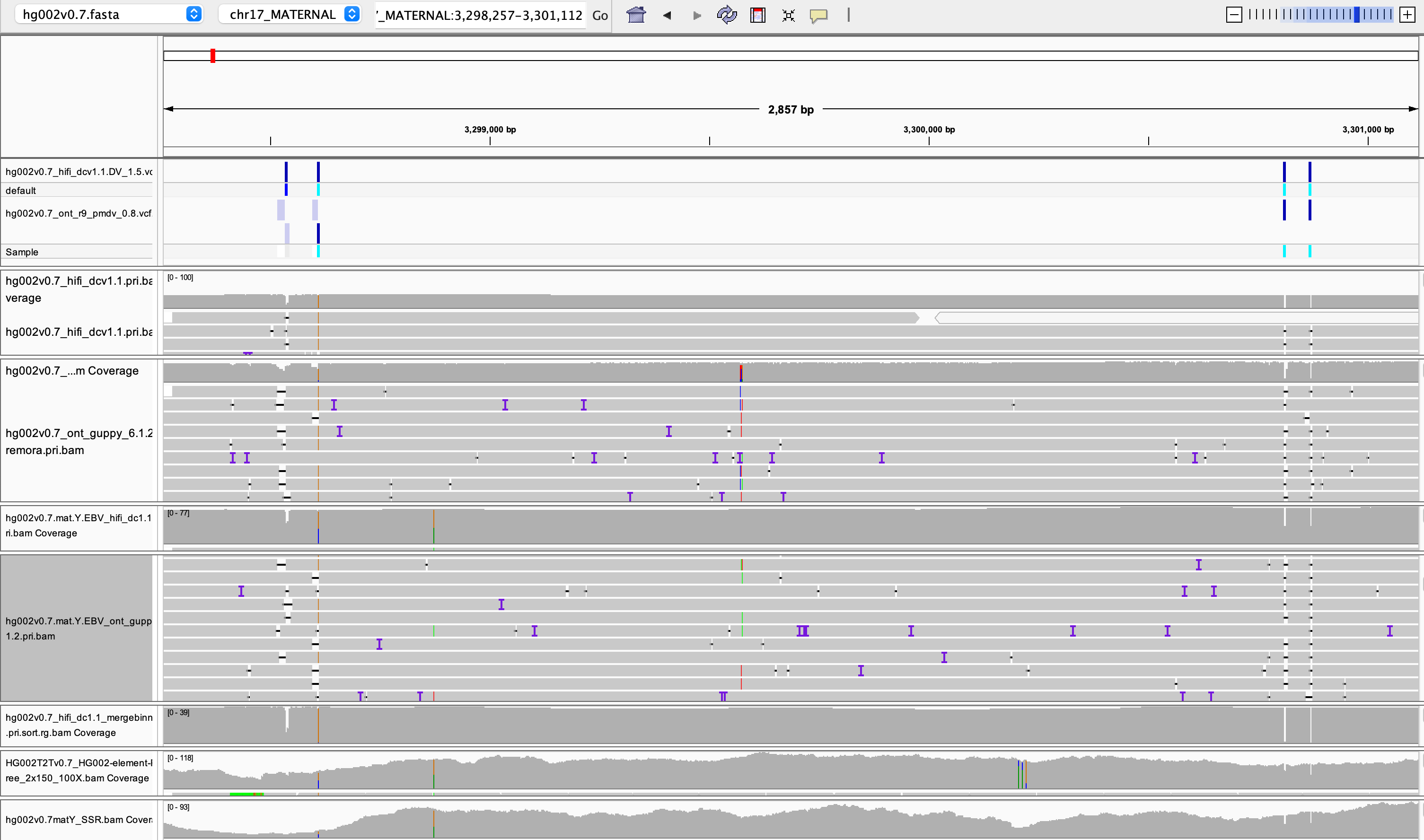 Issue: chr17_MATERNAL:3216489-3298611 · Issue #404 · marbl/HG002-issues · GitHub
