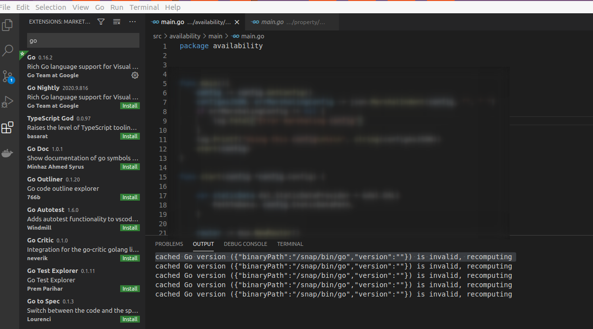 Cannot install, cached Go version ({"binaryPath":"/snap/bin/go","version":""}) is invalid ...