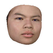 A problem when rendering an image · Issue #264 · facebookresearch/pytorch3d · GitHub