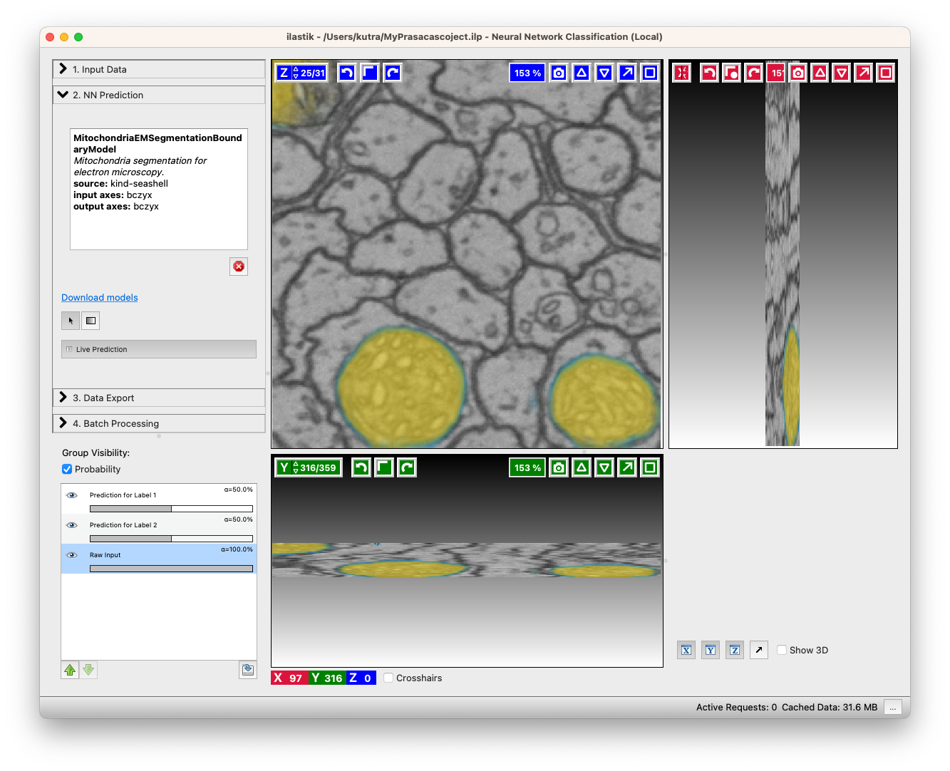 Wrong segmentation using NN Prediction · Issue #2701 · ilastik/ilastik ...