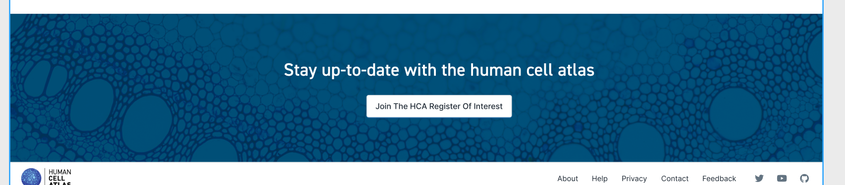 [HCA Next] Implement "Stay Up-to-date" section in new nextjs homepage · Issue #2145 ...