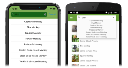 [Enhancement] Shell Search Results View is Too Narrow on Android · Issue #11960 · xamarin ...