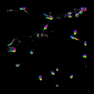 Neurons segmentation · Issue #21 · MouseLand/cellpose · GitHub
