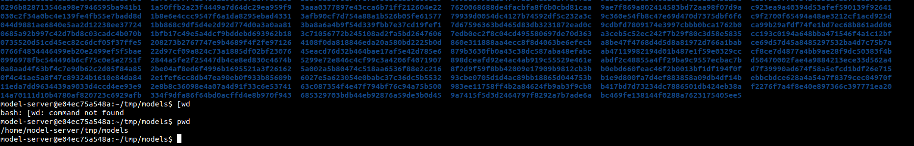Remove tmp models files under /tmp/models/ after torchserve --stop · Issue #718 · pytorch/serve ...