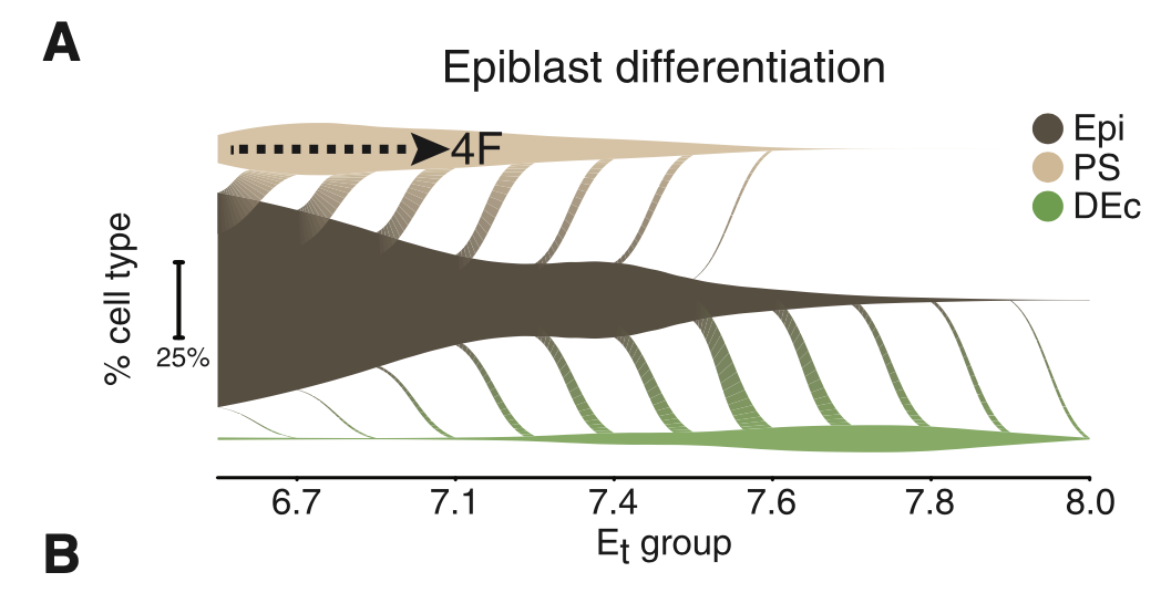 Add vein plot · Issue #591 · theislab/cellrank · GitHub