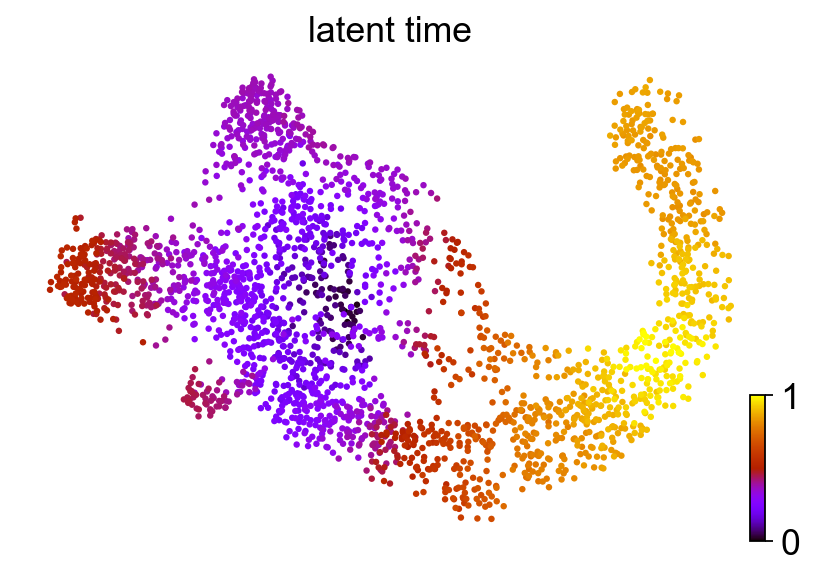 scvelo interfacing · Issue #131 · theislab/cellrank · GitHub