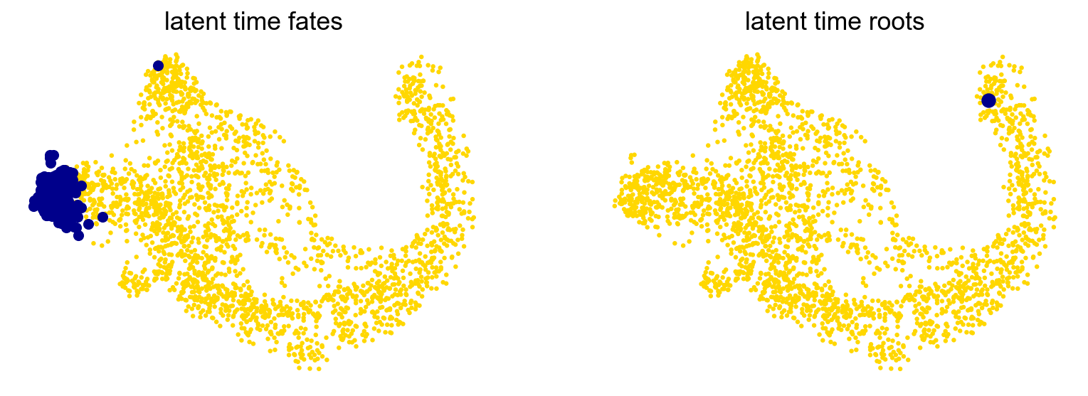 scvelo interfacing · Issue #131 · theislab/cellrank · GitHub
