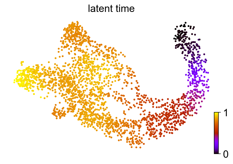 scvelo interfacing · Issue #131 · theislab/cellrank · GitHub