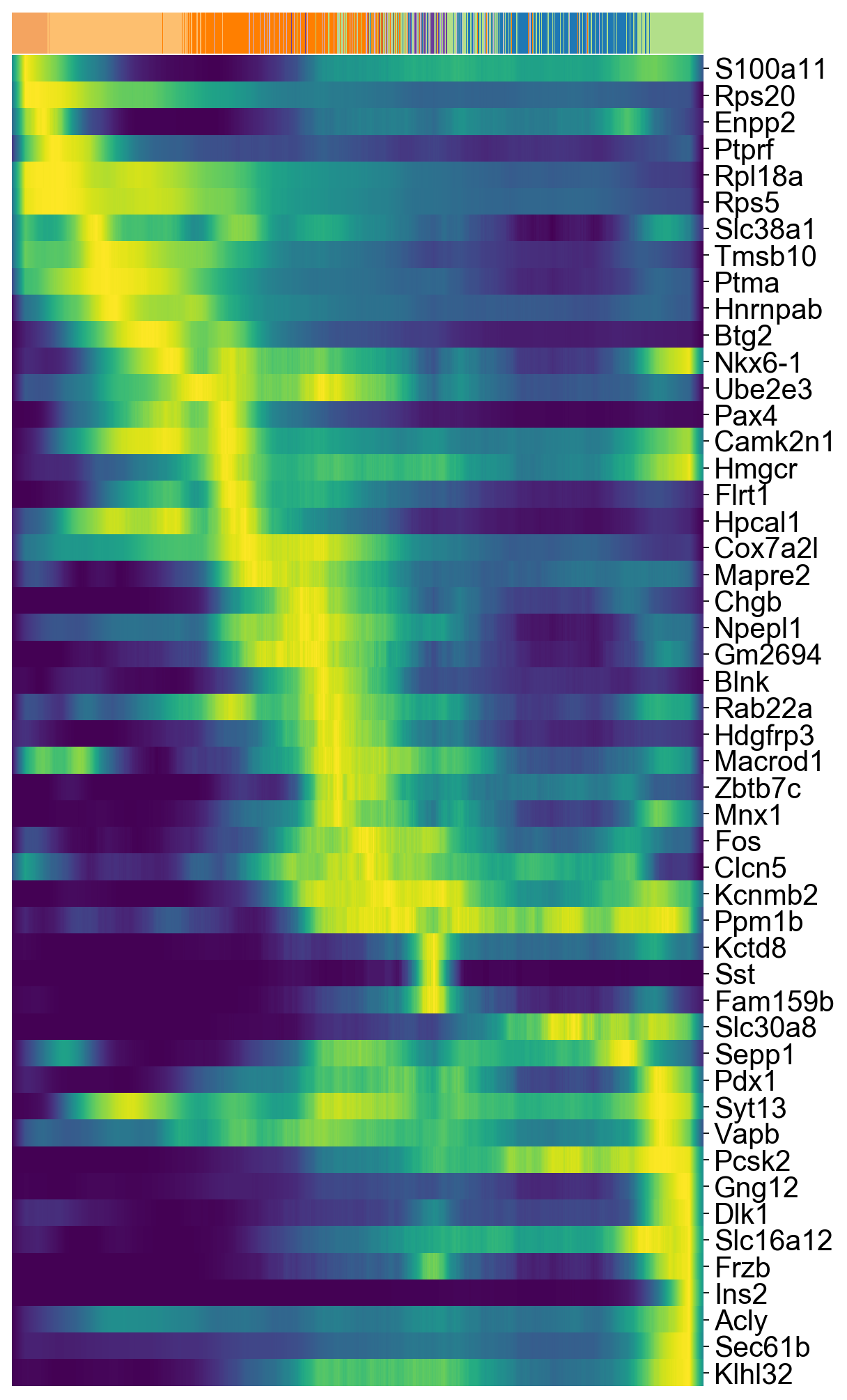 Gene ordering in the heatmap · Issue #274 · theislab/cellrank · GitHub