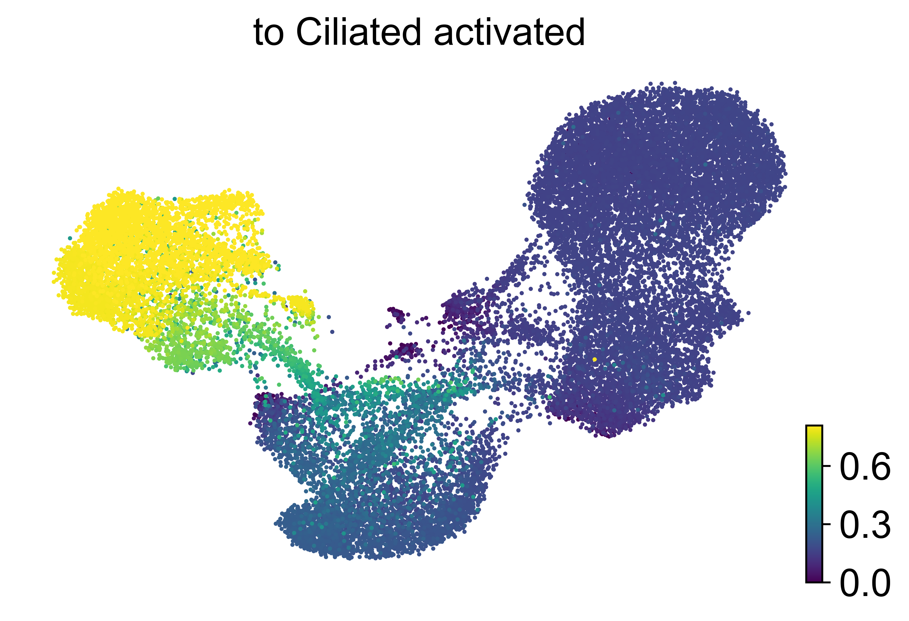 Absorption probability plotting · Issue #307 · theislab/cellrank · GitHub
