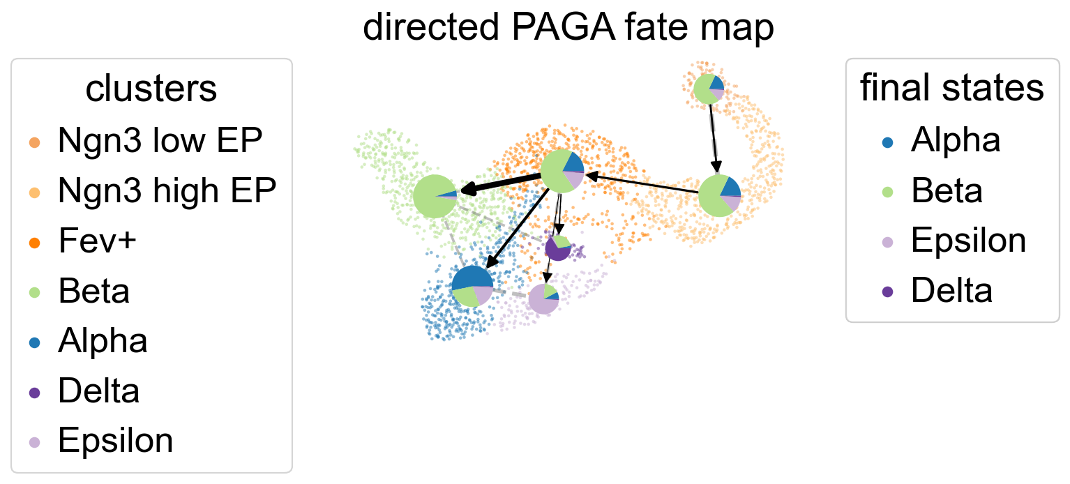 Extra tutorial for directed PAGA · Issue #344 · theislab/cellrank · GitHub