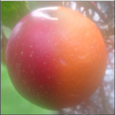 GitHub - sahandb/Image_Blending_Pyramids_HoughTransform: Image blending ...