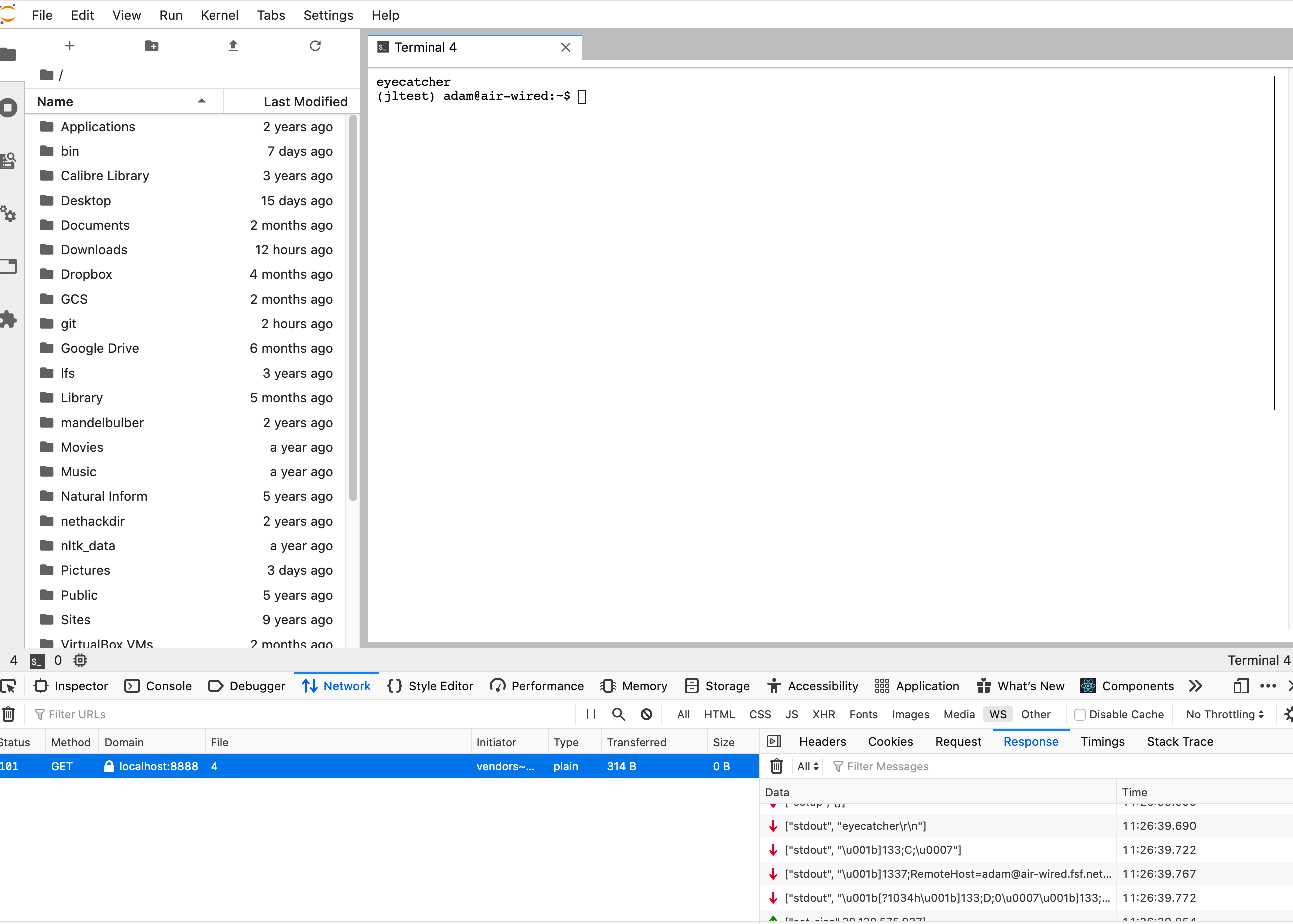 Terminal Session Does Not Display Any Output Prior To The First Partial