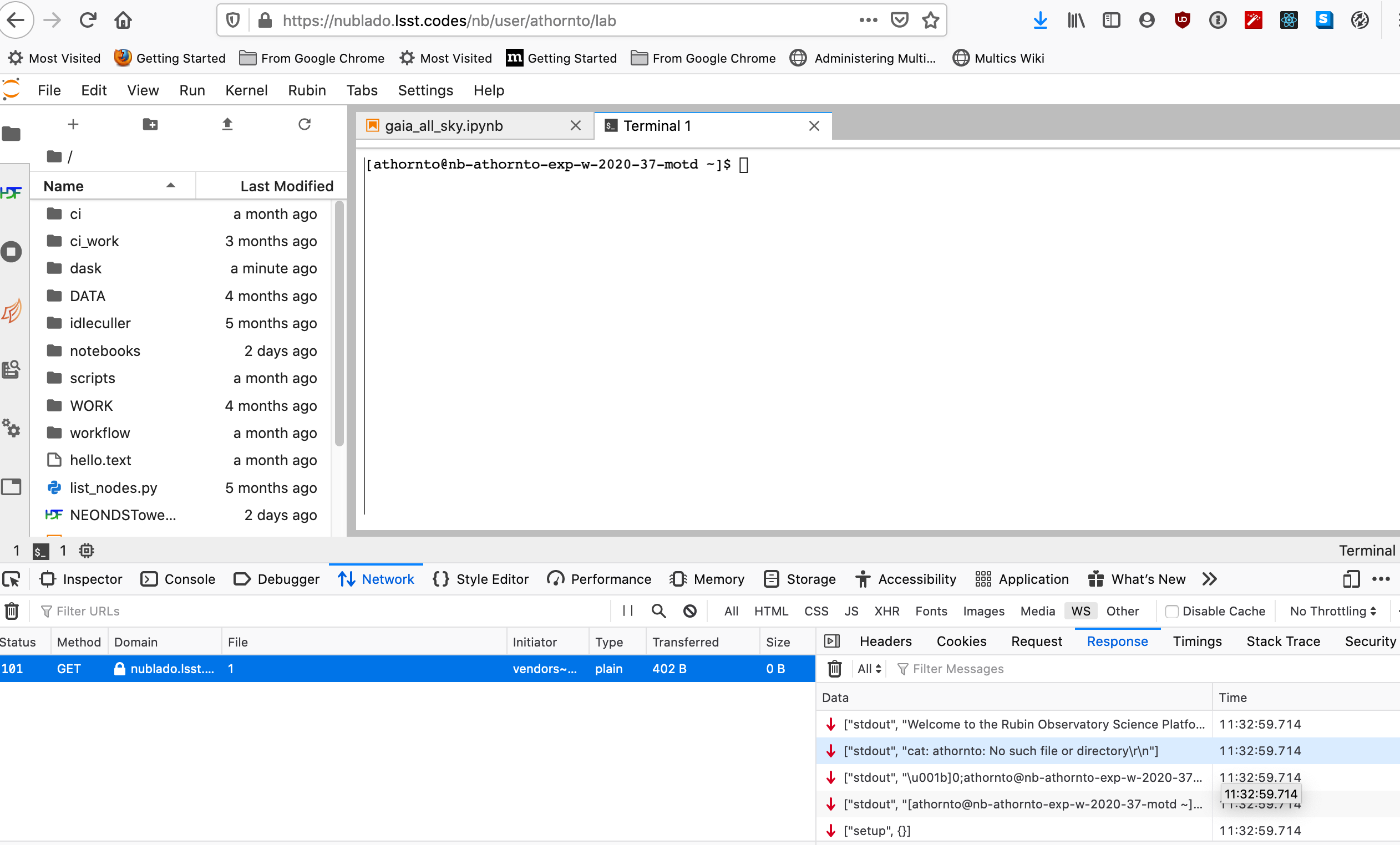 Terminal session does not display any output prior to the first partial ...